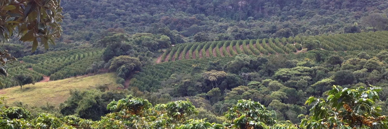 Fazenda Trapia - Agrisapien Traders
