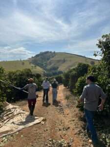 Brazil's Coffee Dominance: How Much Of The World's Coffee Is Produced ...